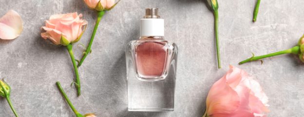 Moschus – der ganz spezielle animalische Duft - Cosmoty.de